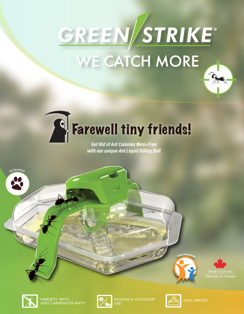 Ant Trap – Liquid Ant Killer Bait – 3 Pack – Bug Elimination And ...